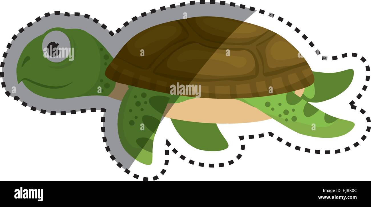 Marune turtle animal Stock Vector Image & Art - Alamy