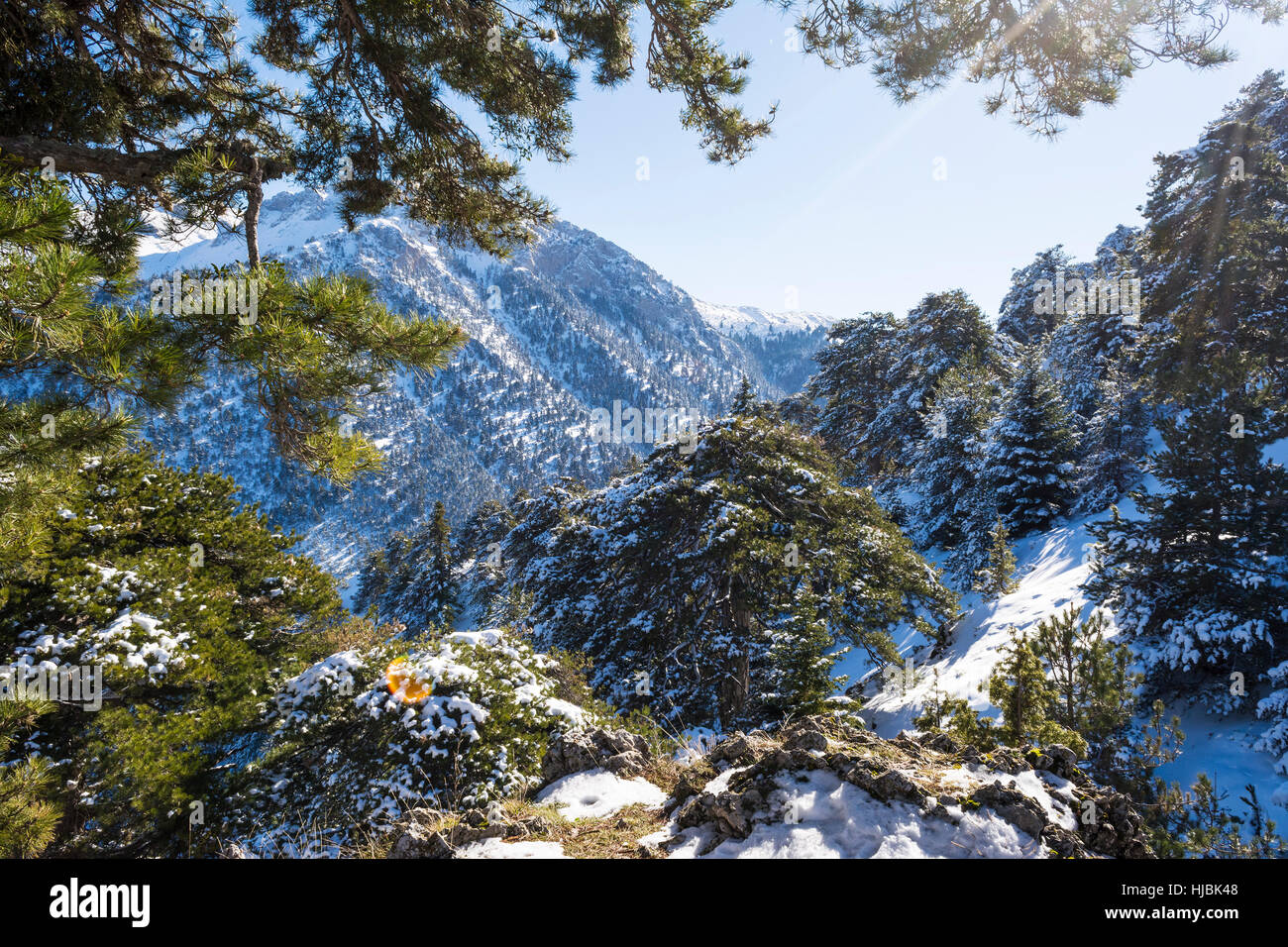 Ziria mountain covered with snow on a winter day, Korinthia, South ...
