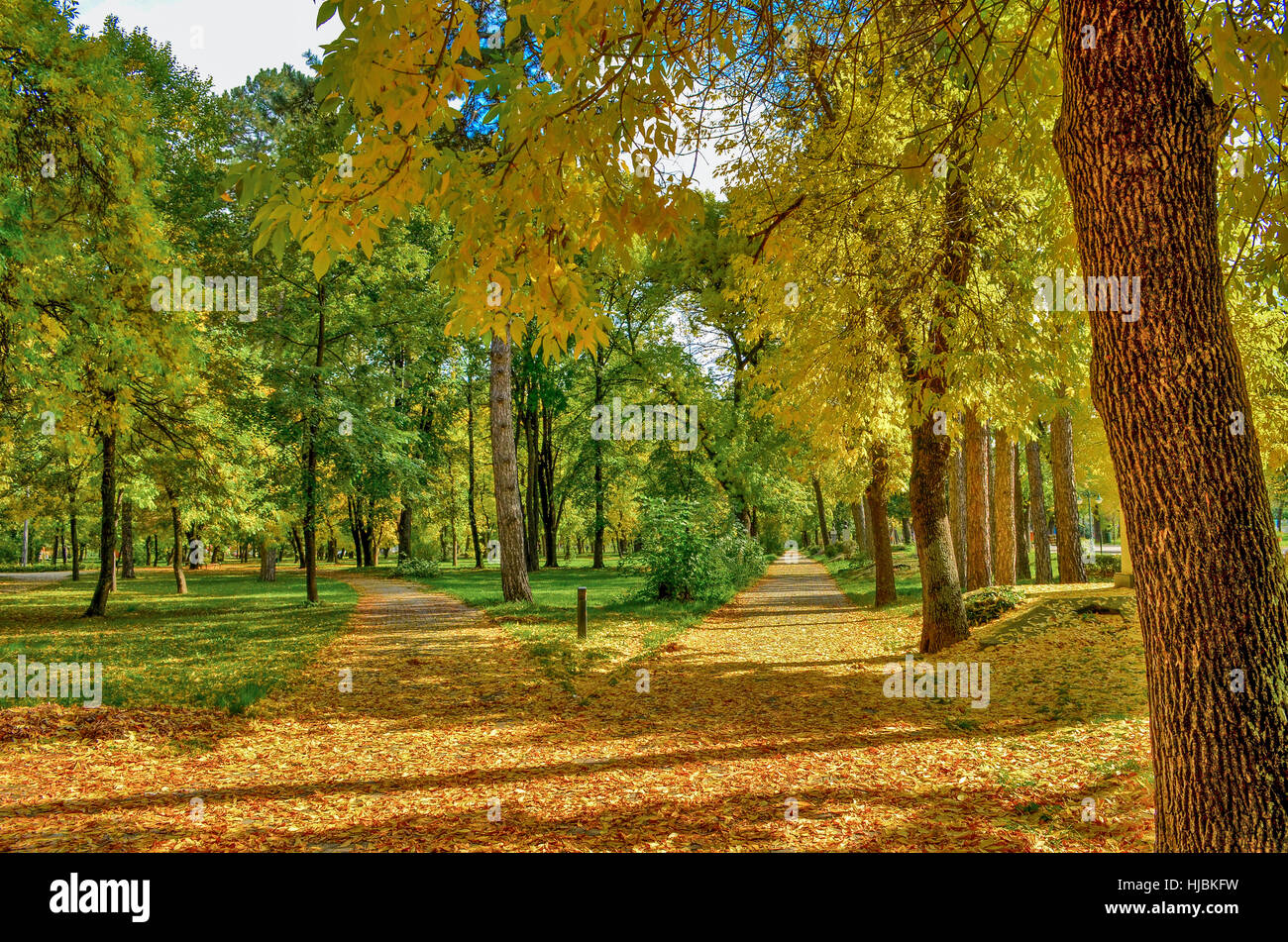 Bitola City Park High Resolution Stock Photography and Images - Alamy
