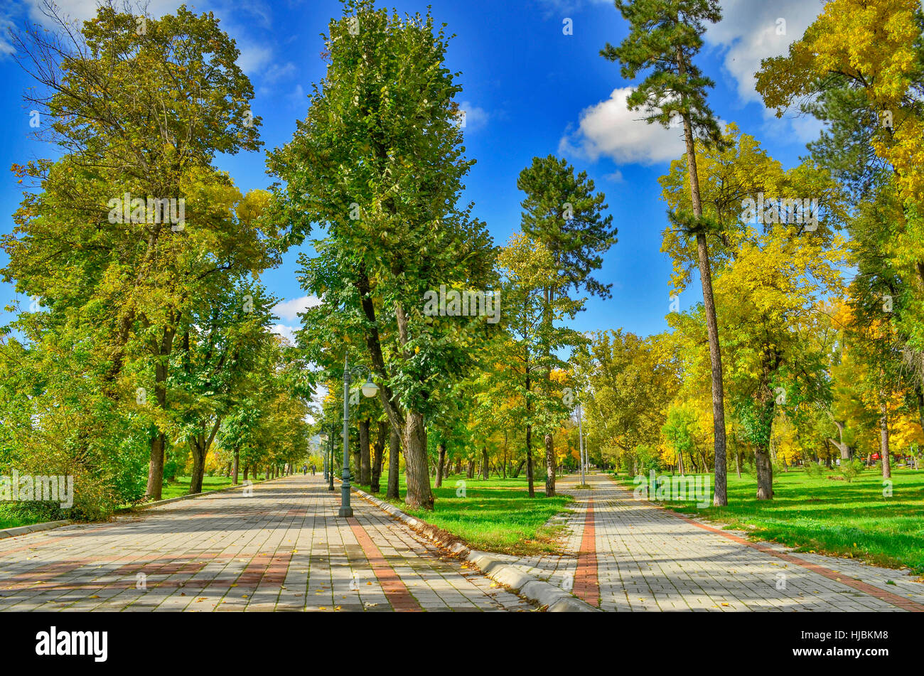 Two roads hi-res stock photography and images - Alamy