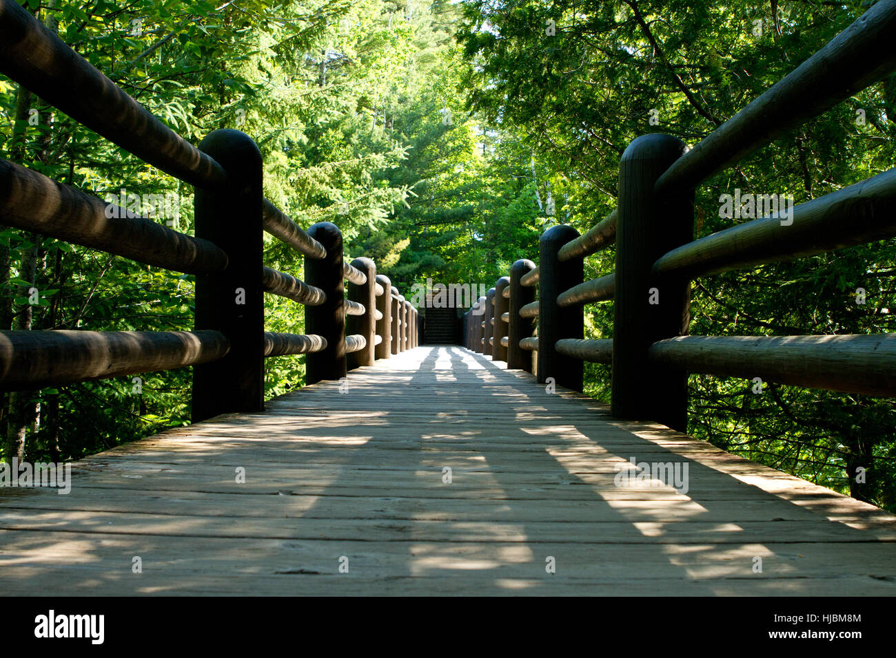 Accessible trail through forest with tree surrounding and wood railings ...