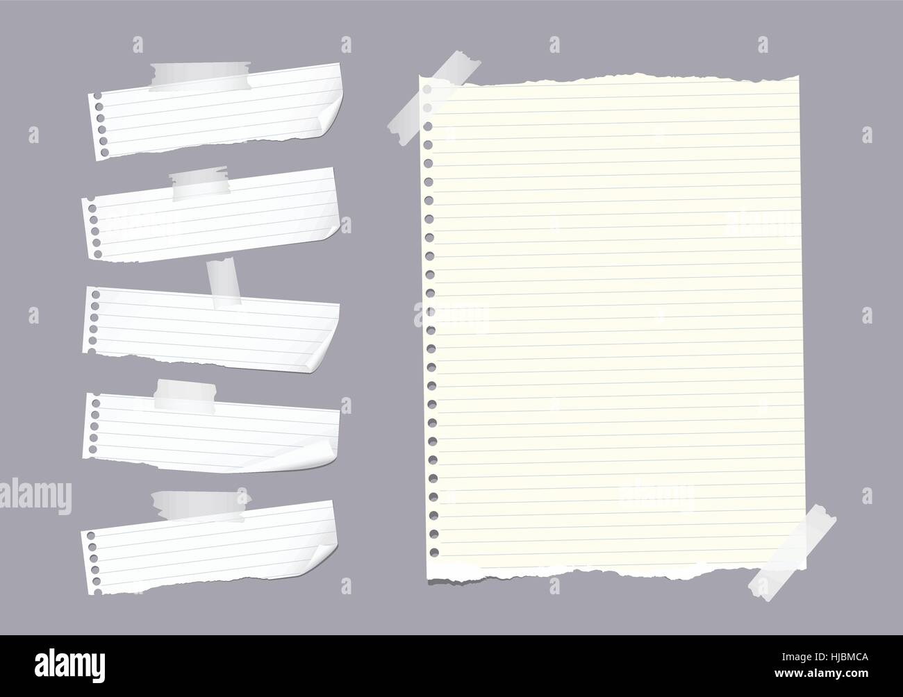 Ripped ruled note, notebook, copybook paper sheet, strips stuck with ...