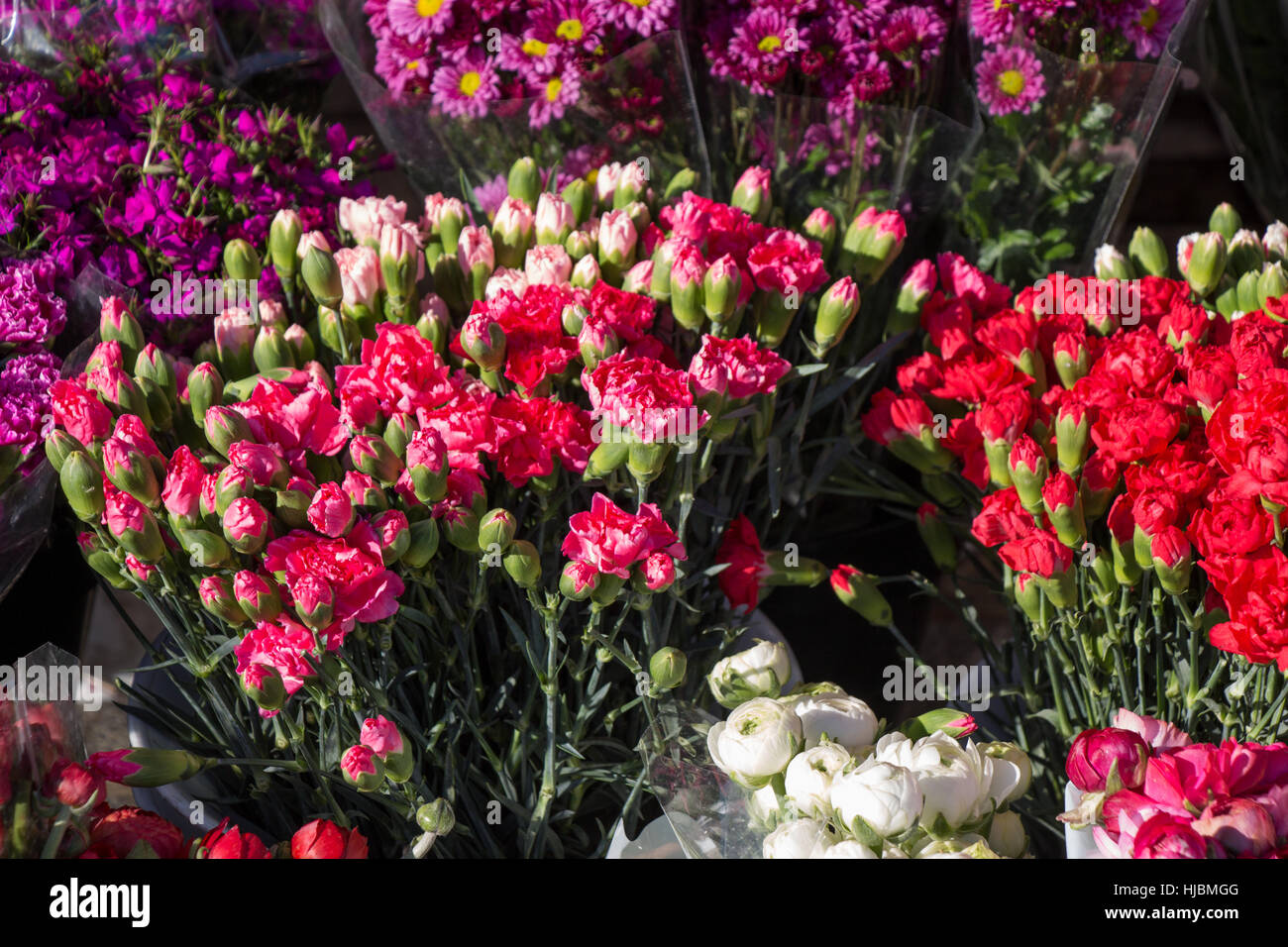 Beautiful fresh flowers as a nature background Stock Photo - Alamy