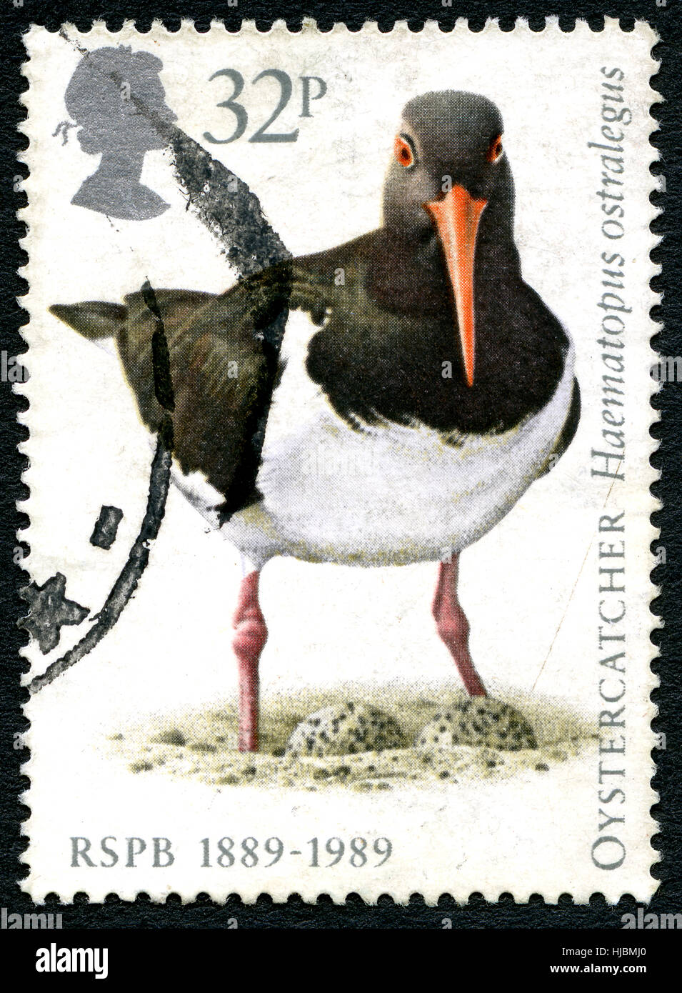 Rspb symbol hi-res stock photography and images - Alamy