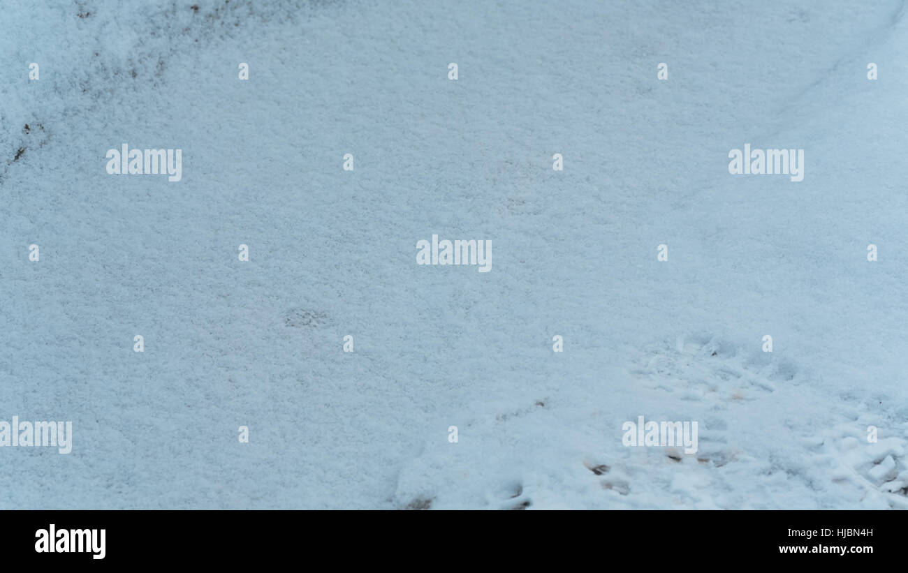 frozen puddle and cracked ice closeup Stock Photo - Alamy