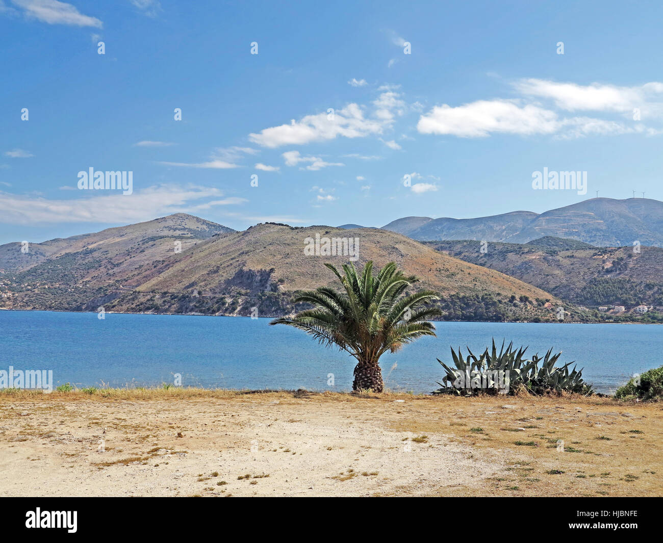 Palm tree at the entrance to Argostoli bay, Kefalonia Greek Ionian ...