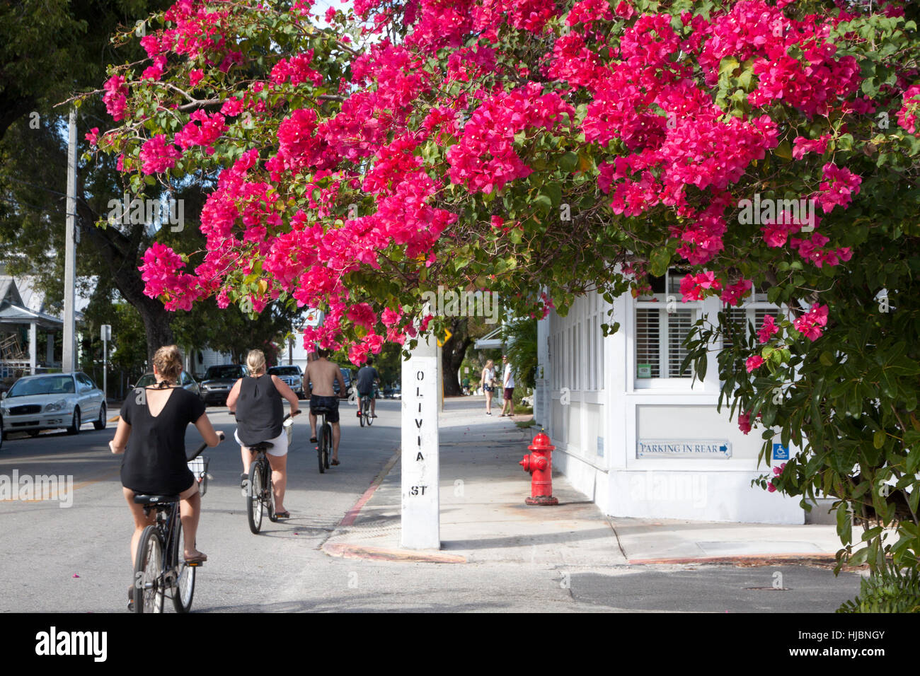 Key West tourists bicycle pass Olivia Street in Key West, Florida Stock ...