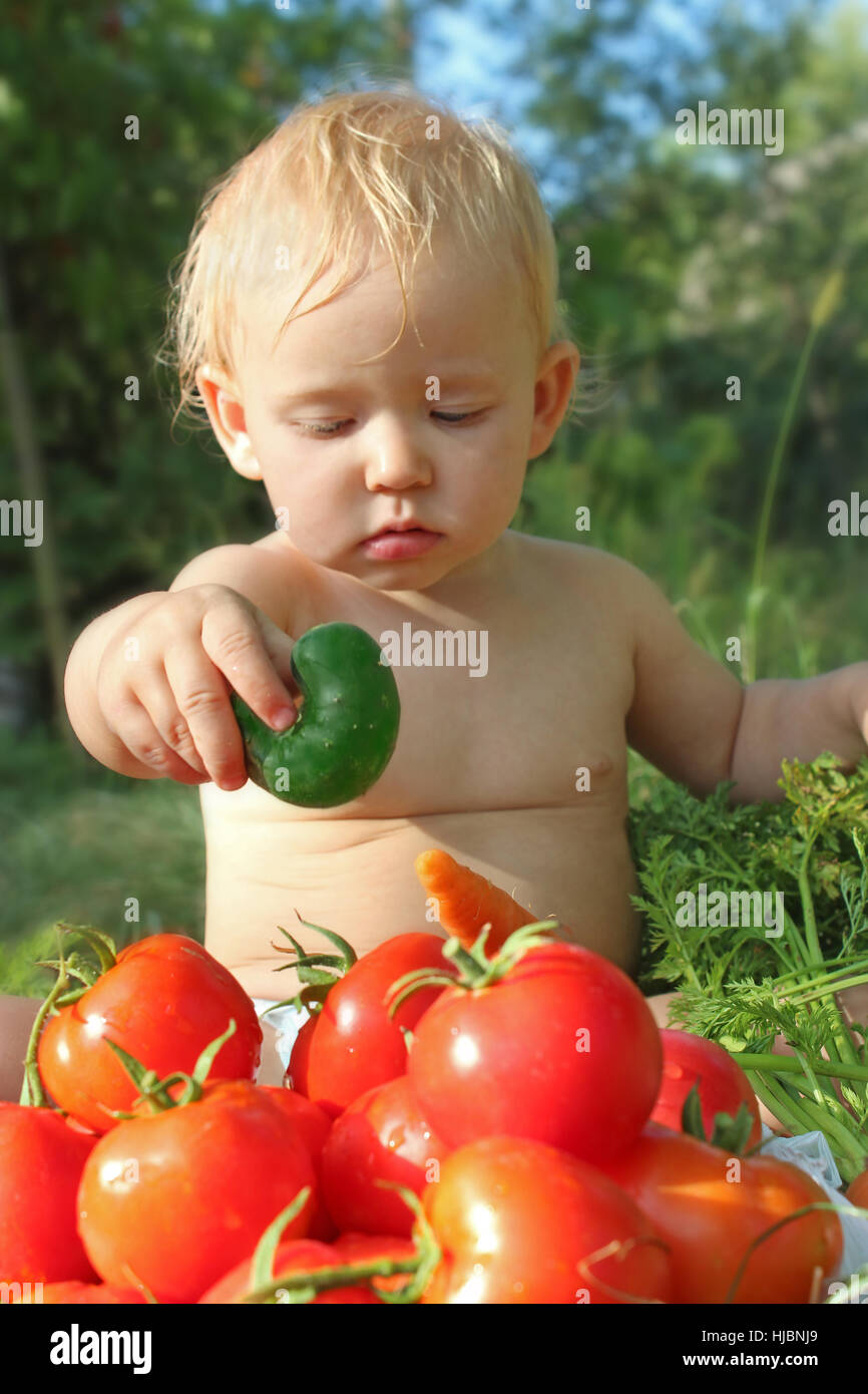 Baby cucumber hi-res stock photography and images - Alamy