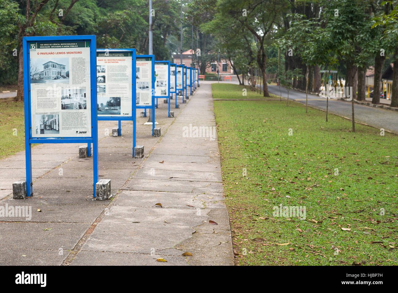 Sao Paulo, Brazil june 18, 2016. Butantan Institute is a main producer ...