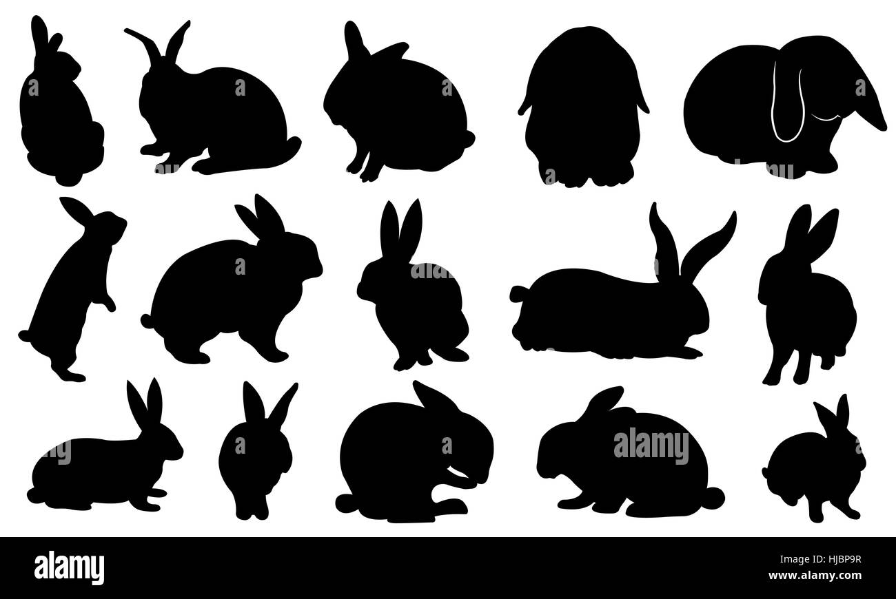 Isolated hare Black and White Stock Photos & Images - Alamy