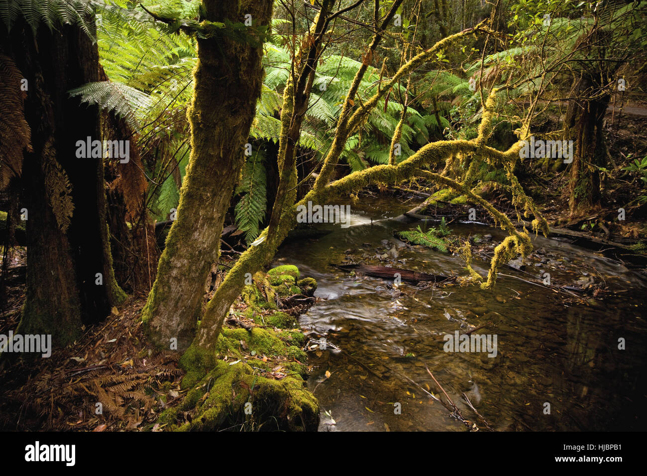 Overhangs australia hi-res stock photography and images - Alamy