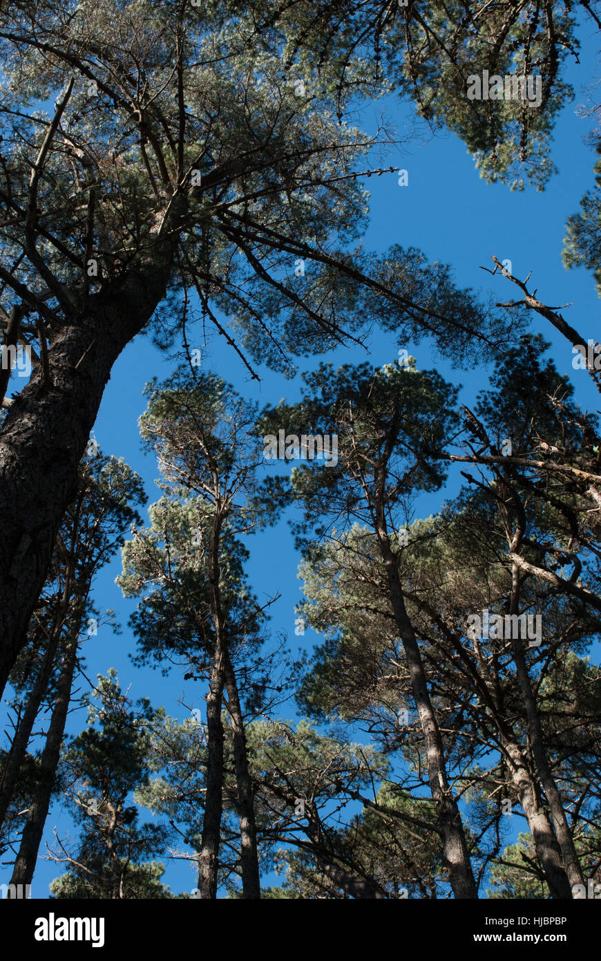 This is my home Stock Photo - Alamy