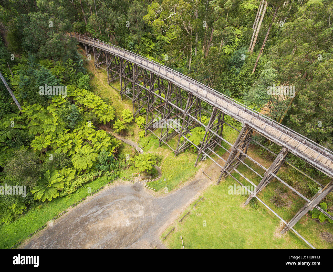 Australian forest hi-res stock photography and images - Alamy