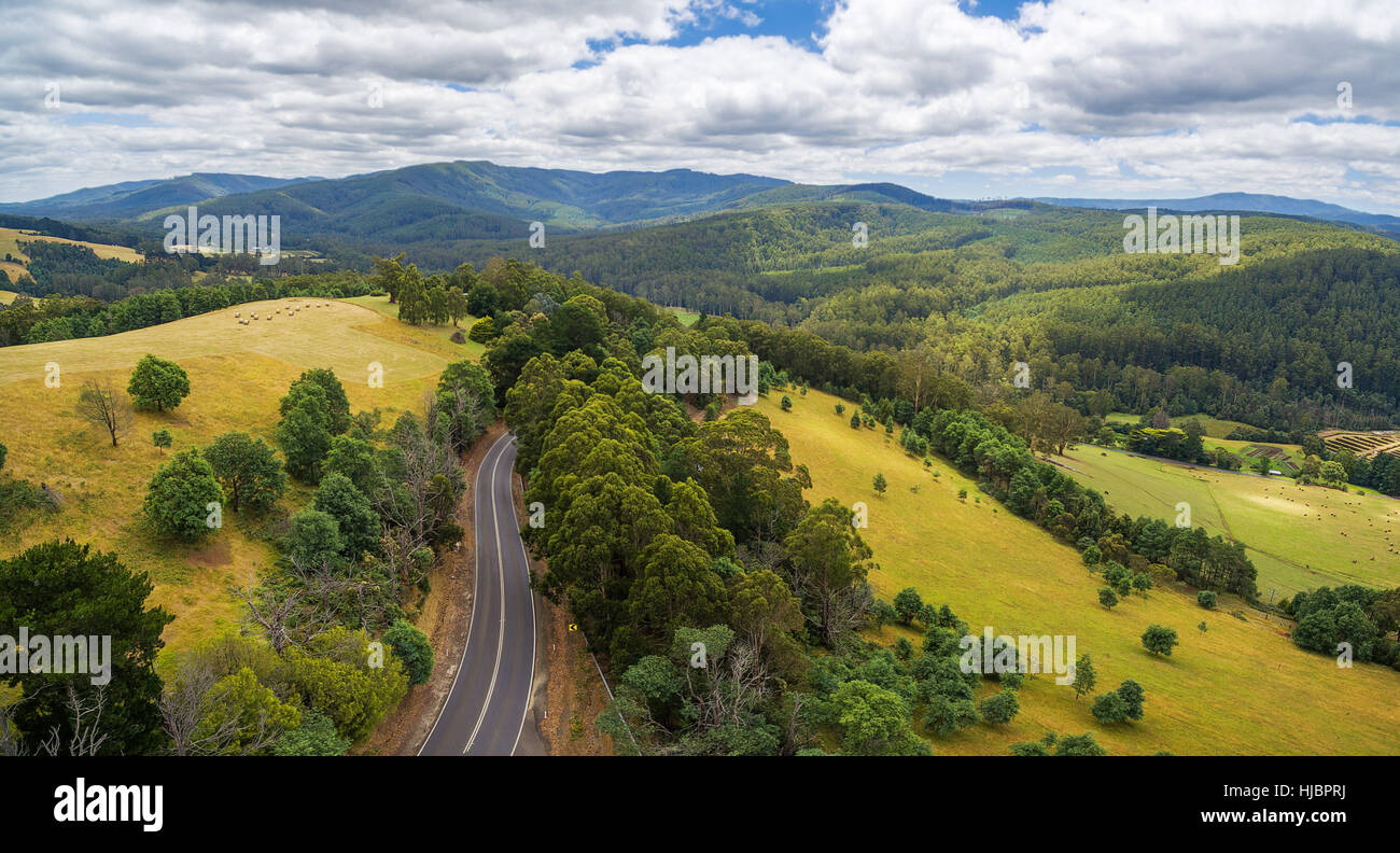 Rural road aerial trees hi-res stock photography and images - Alamy