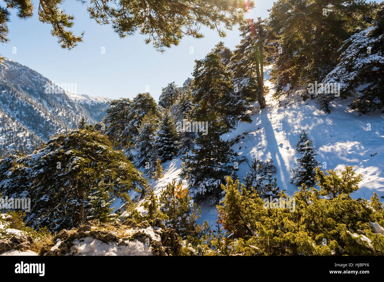 Ziria mountain covered with snow on a winter day, Korinthia, South ...