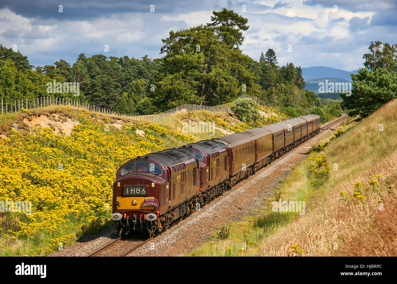 Class 37 Diesel Locomotives