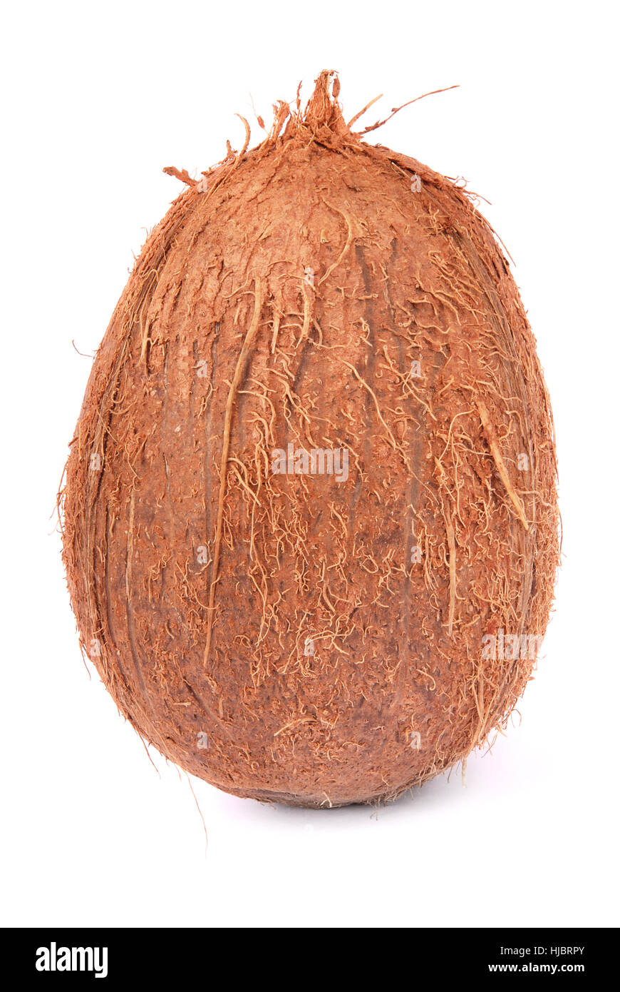 One coconut isolated on white background Stock Photo - Alamy