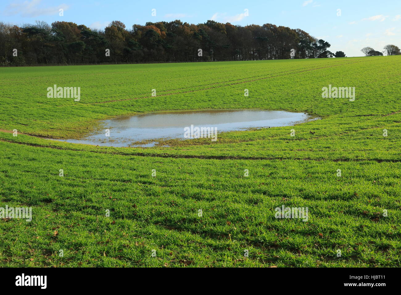 Drainage infiltration hi-res stock photography and images - Alamy