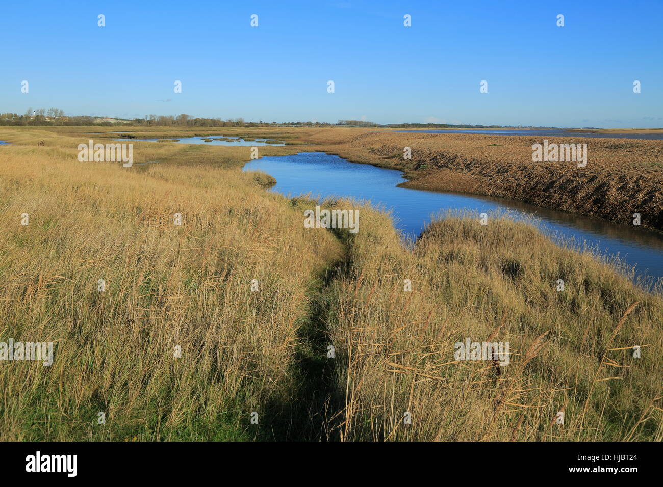 Pools of water behind shingle beach of River Ore, Orford Ness spit to ...