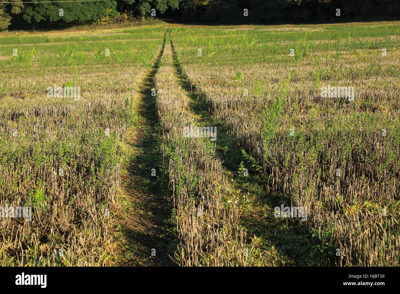 Downhill ahead hi-res stock photography and images - Alamy