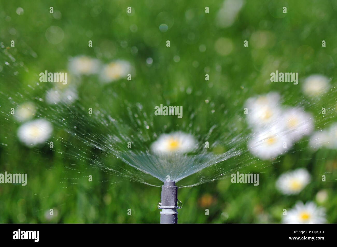 garden, gardens, irrigate, jet of water, irrigation plant, meadow, lawn ...