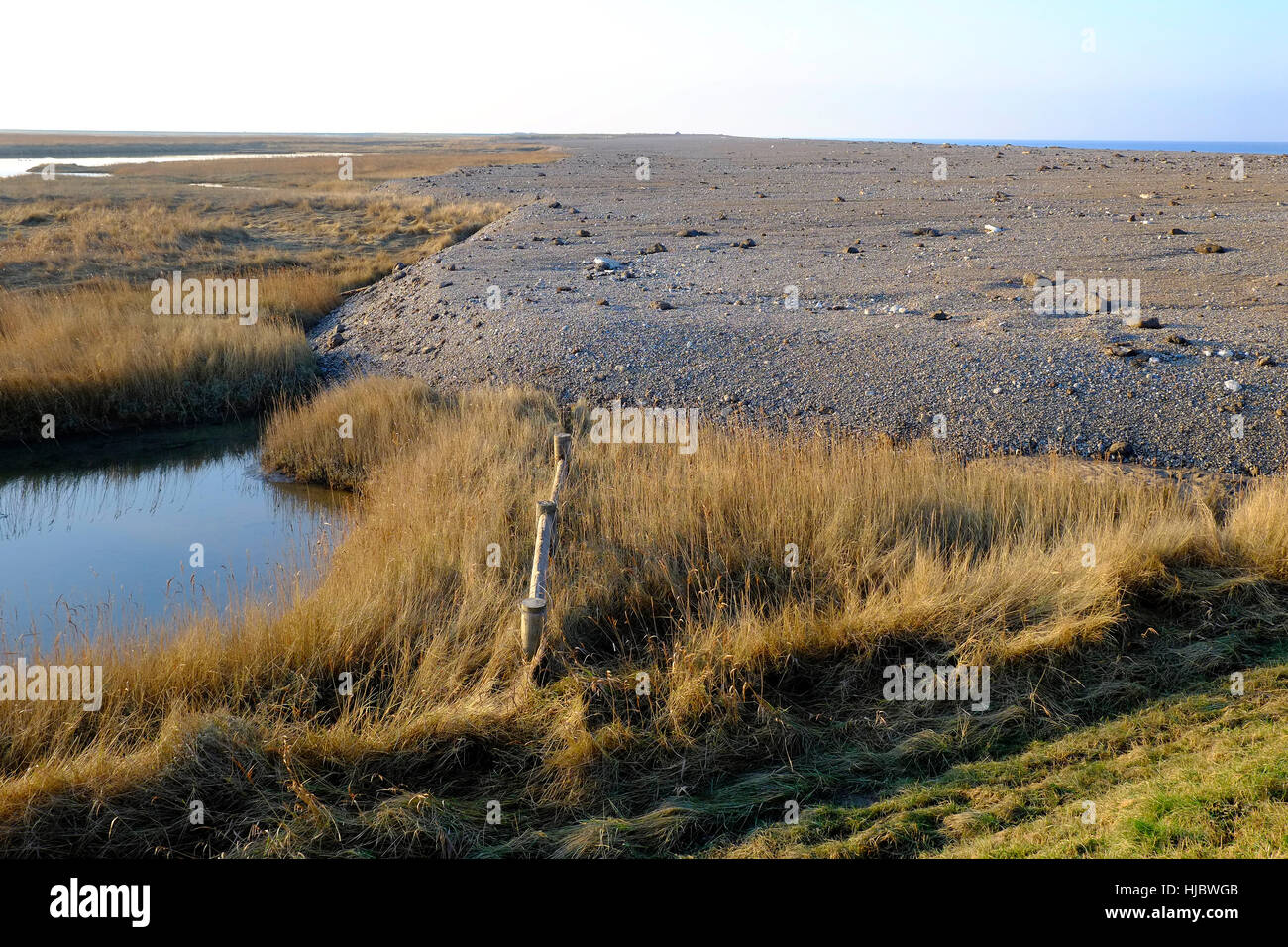 Wildlife nature reserve hi-res stock photography and images - Alamy