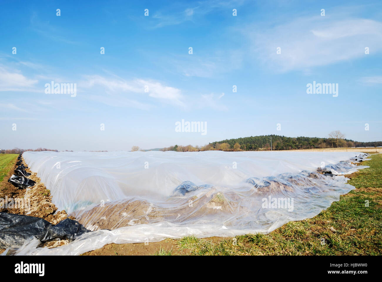 agriculture, farming, field, lines, row, acre, plastic, synthetic ...
