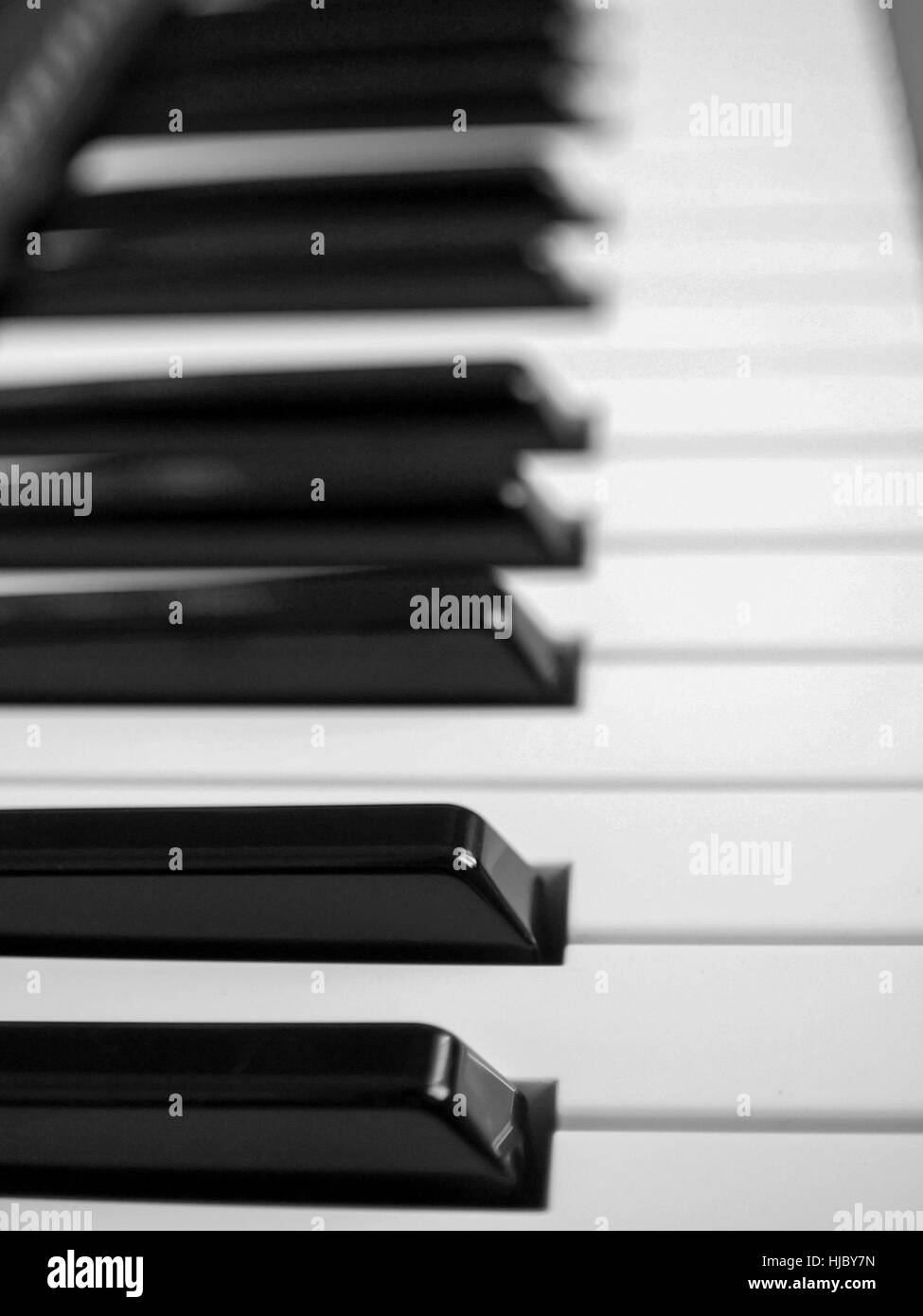 Detail of black and white keys on music keyboard - selective focus ...