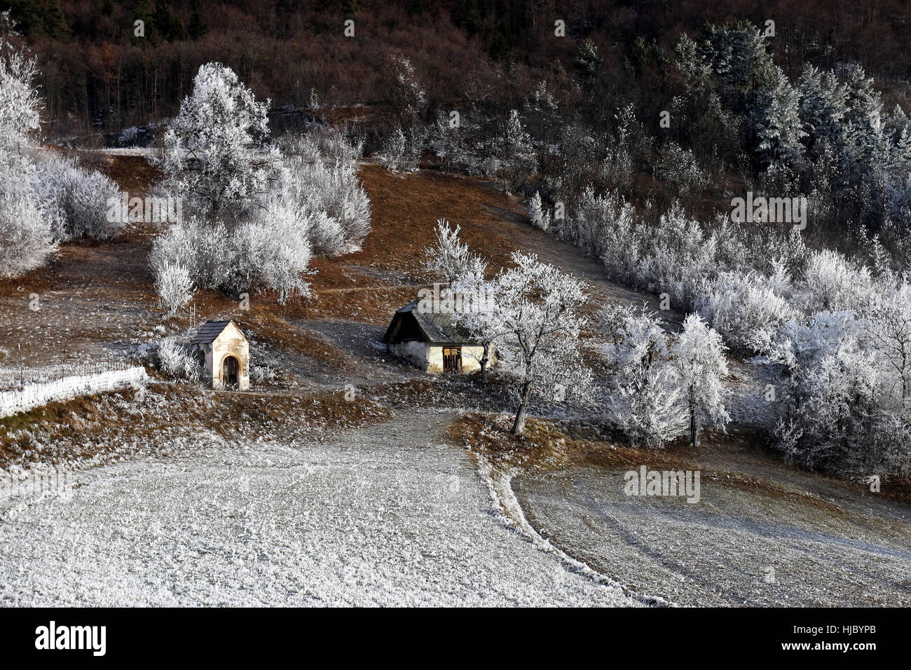 Cold winter morning over the landscape with white frost Stock Photo - Alamy