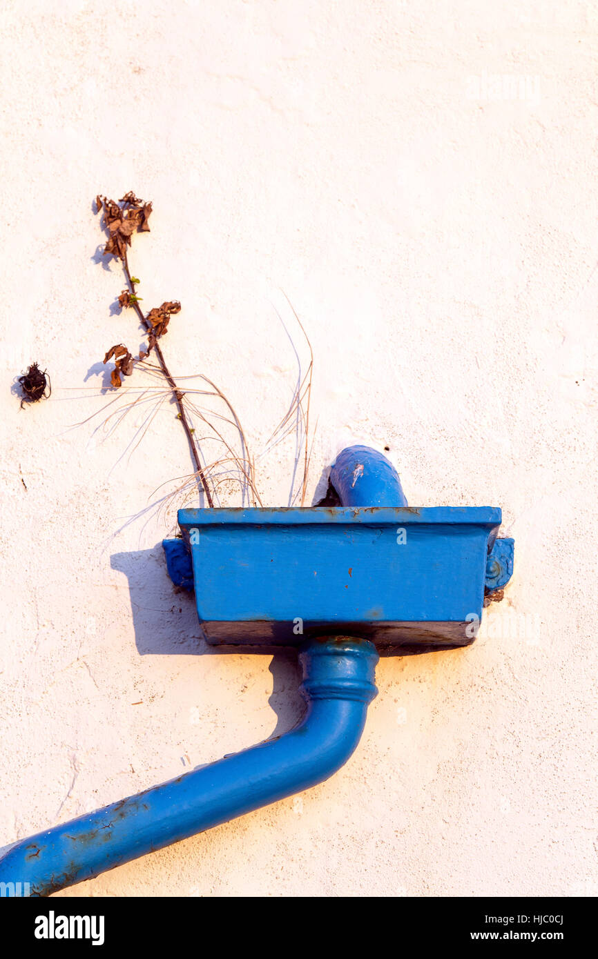 blue drain with plant growing,plumbing,plumbers Stock Photo - Alamy