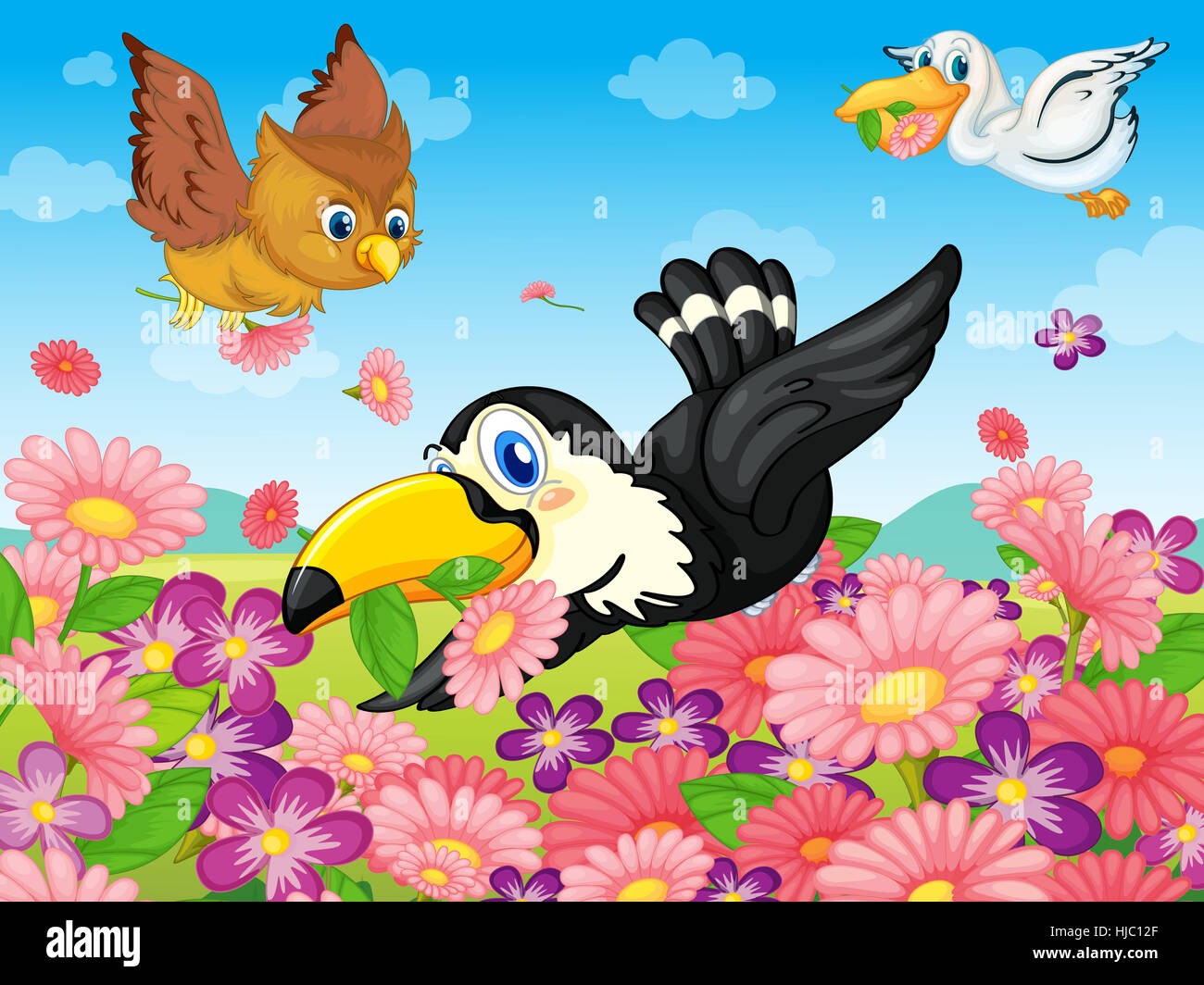 Colour flight graphic animal fauna hi-res stock photography and images ...