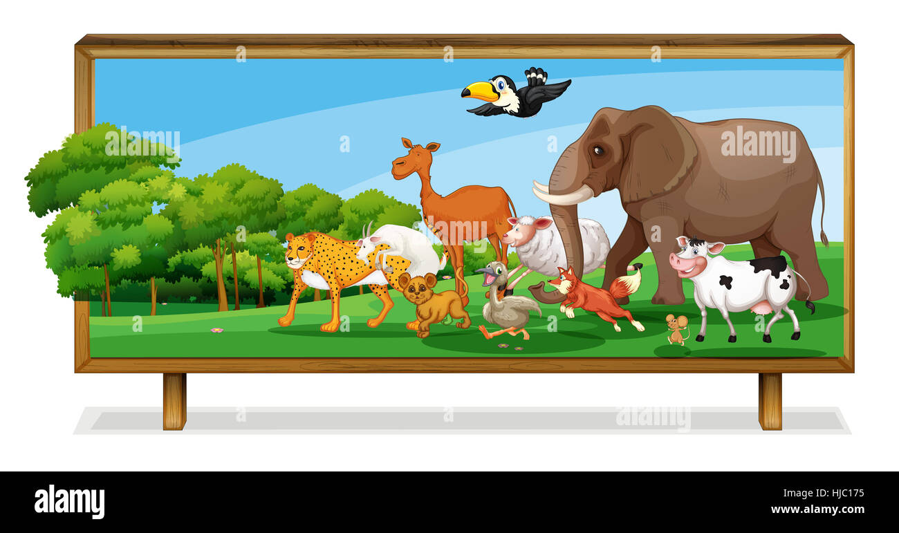 Meadow jumping mouse hi-res stock photography and images - Alamy