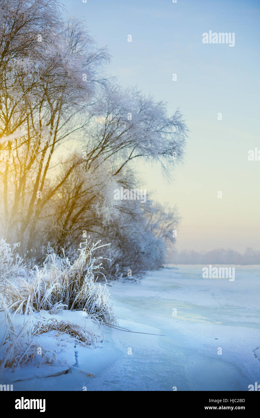beautiful winter background; winter landscape On A Hoar Frost Stock ...
