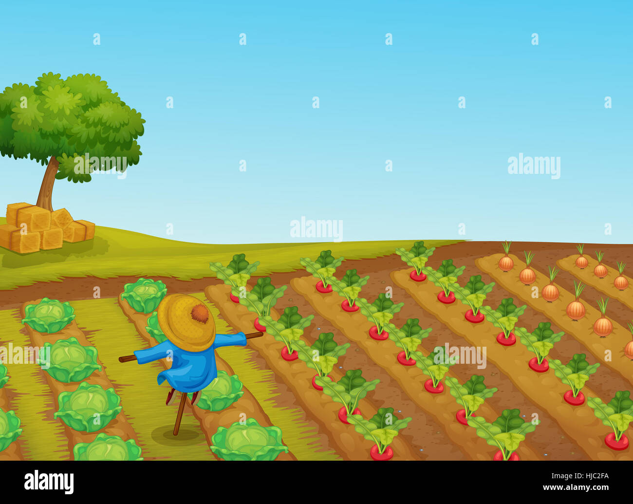 blue, tree, garden, ground, soil, earth, humus, agriculture, farming ...