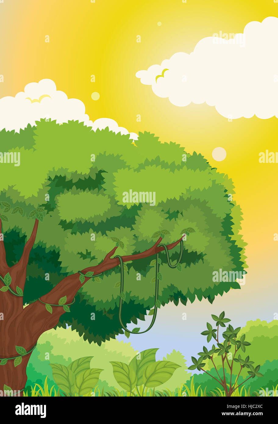 beautiful, beauteously, nice, leaf, environment, enviroment, tree ...
