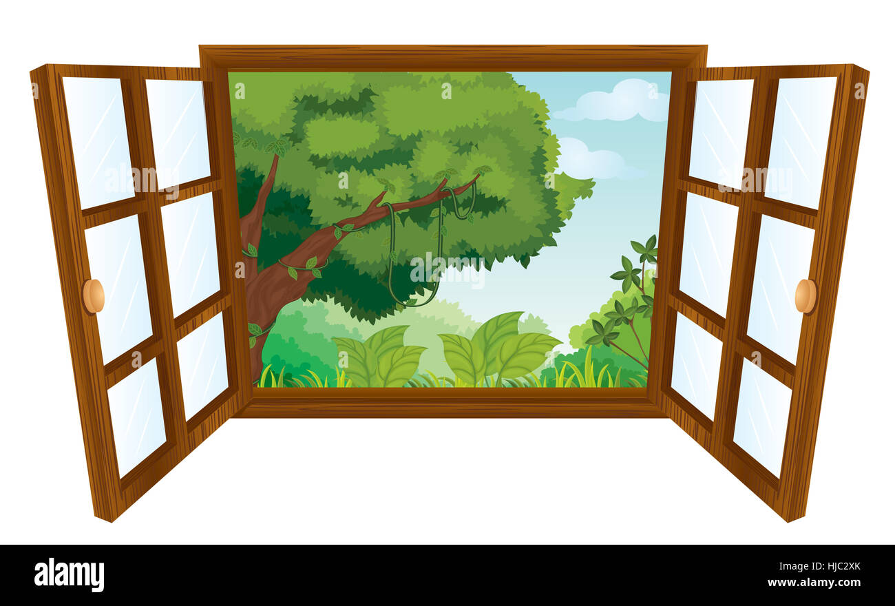 tree, window, porthole, dormer window, pane, leaves, vines, jungle ...