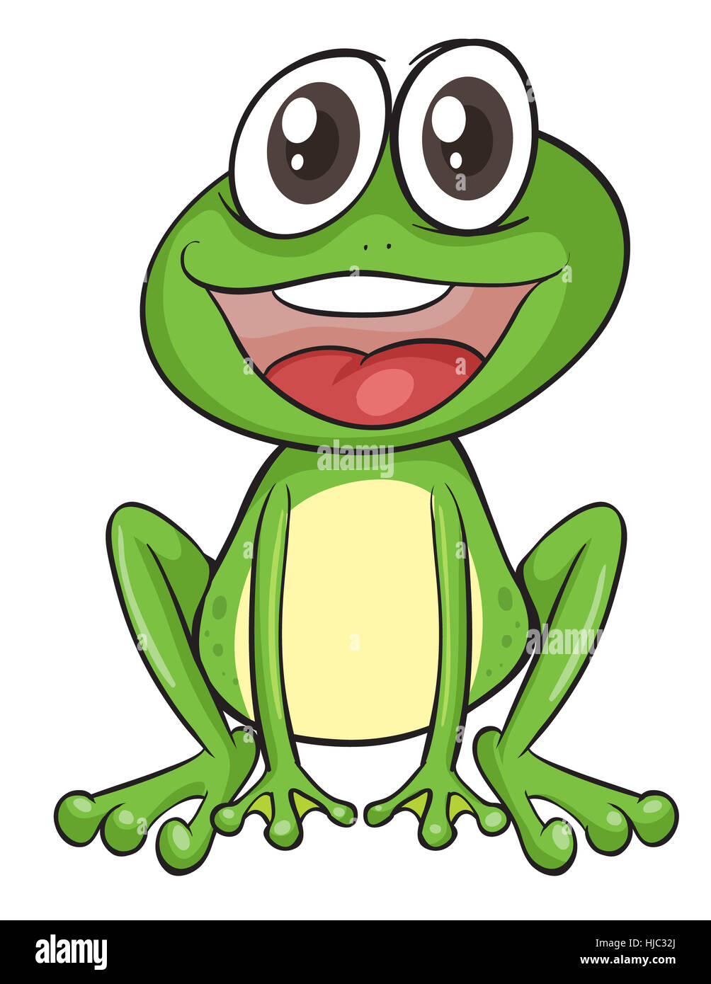 object, isolated, animal, amphibian, eyes, enjoy, look, glancing, see ...