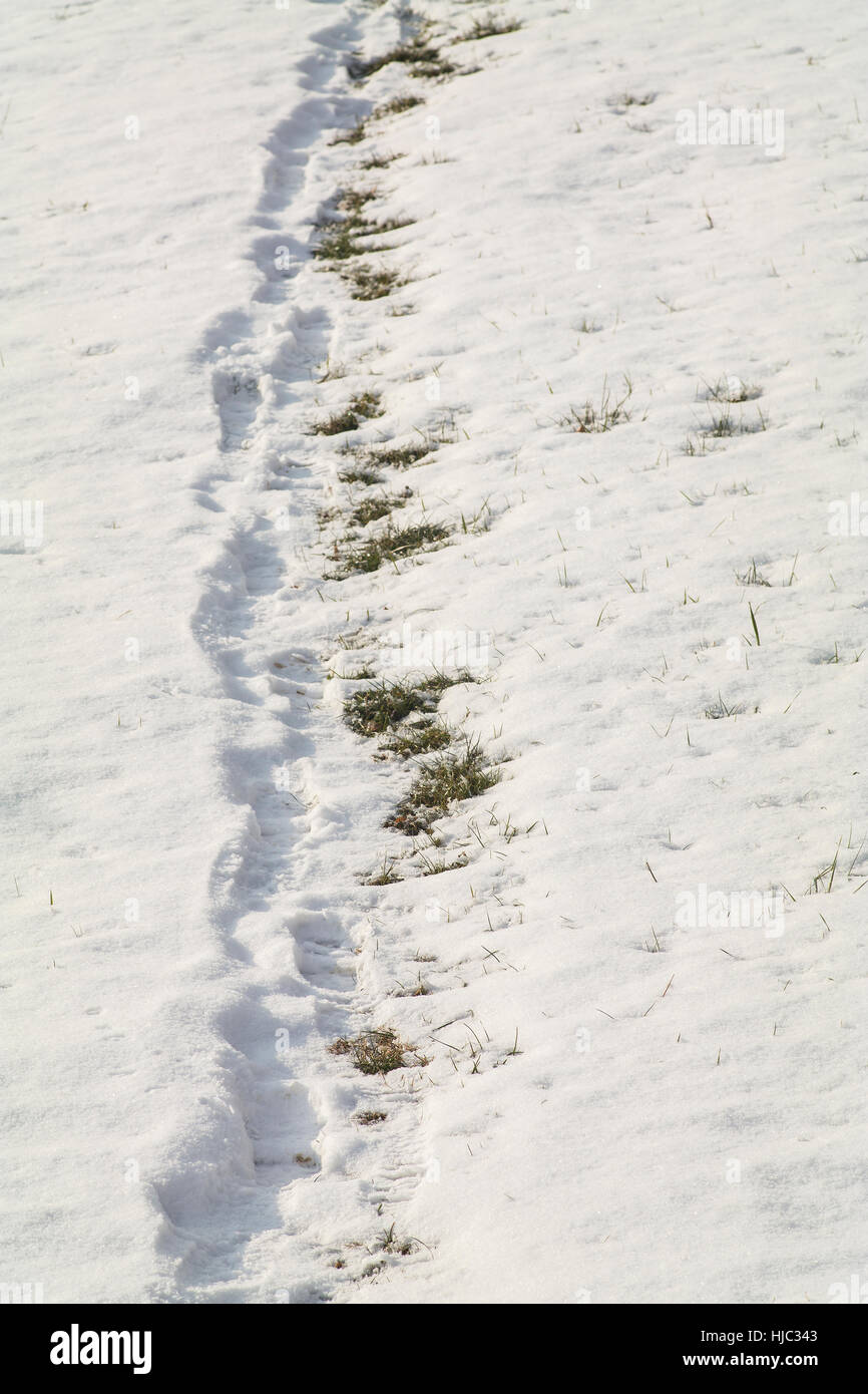 Human path in the snow Stock Photo - Alamy