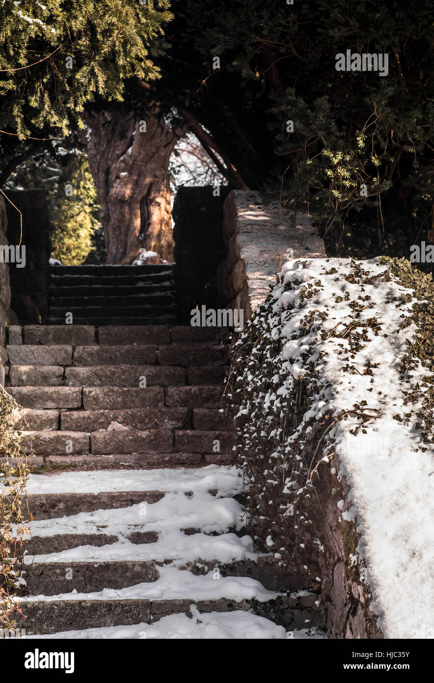 Steps in the park covered with snow Stock Photo - Alamy