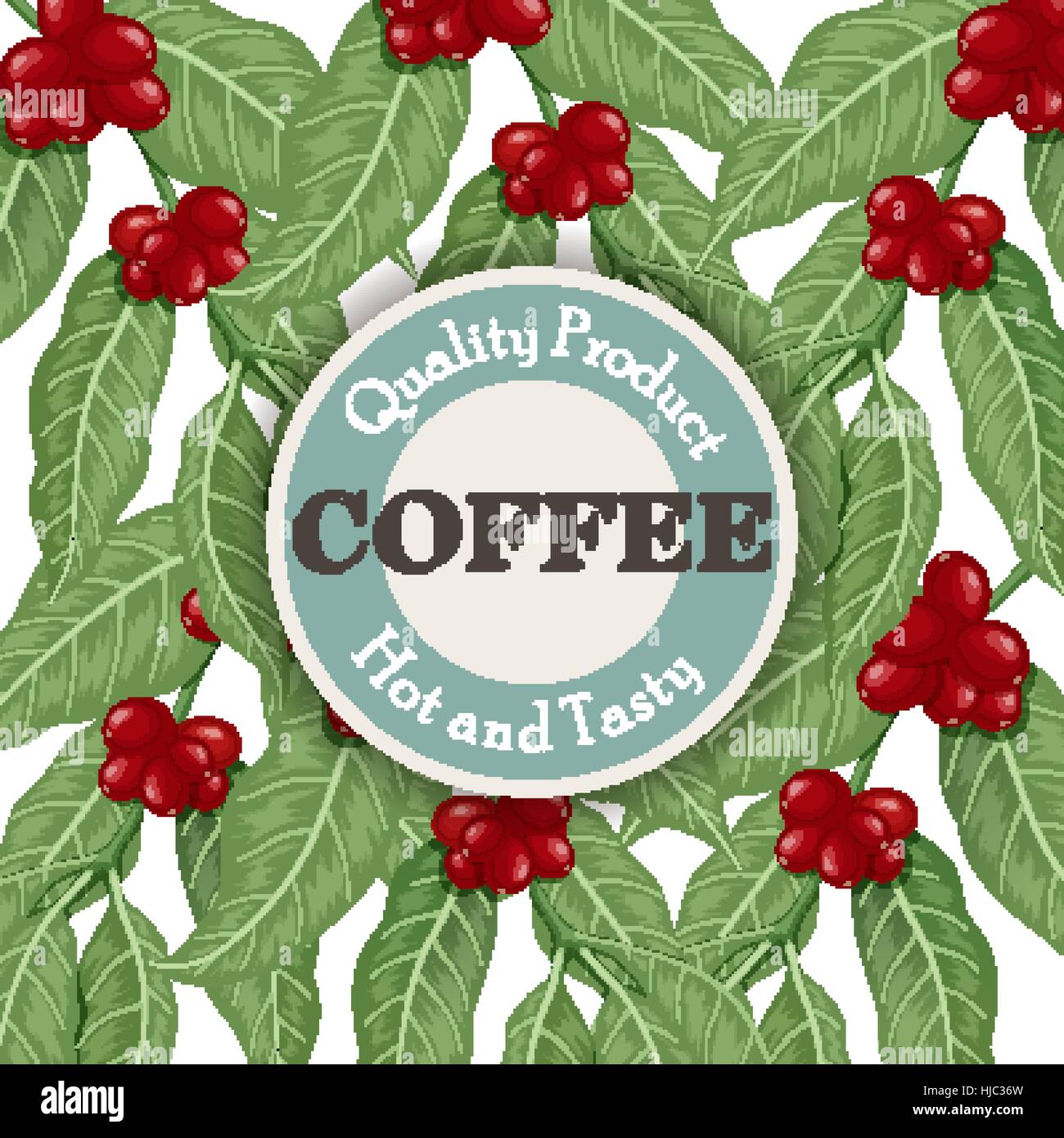 Coffee tree illustration. Coffee design template. Coffee frame. Vector ...