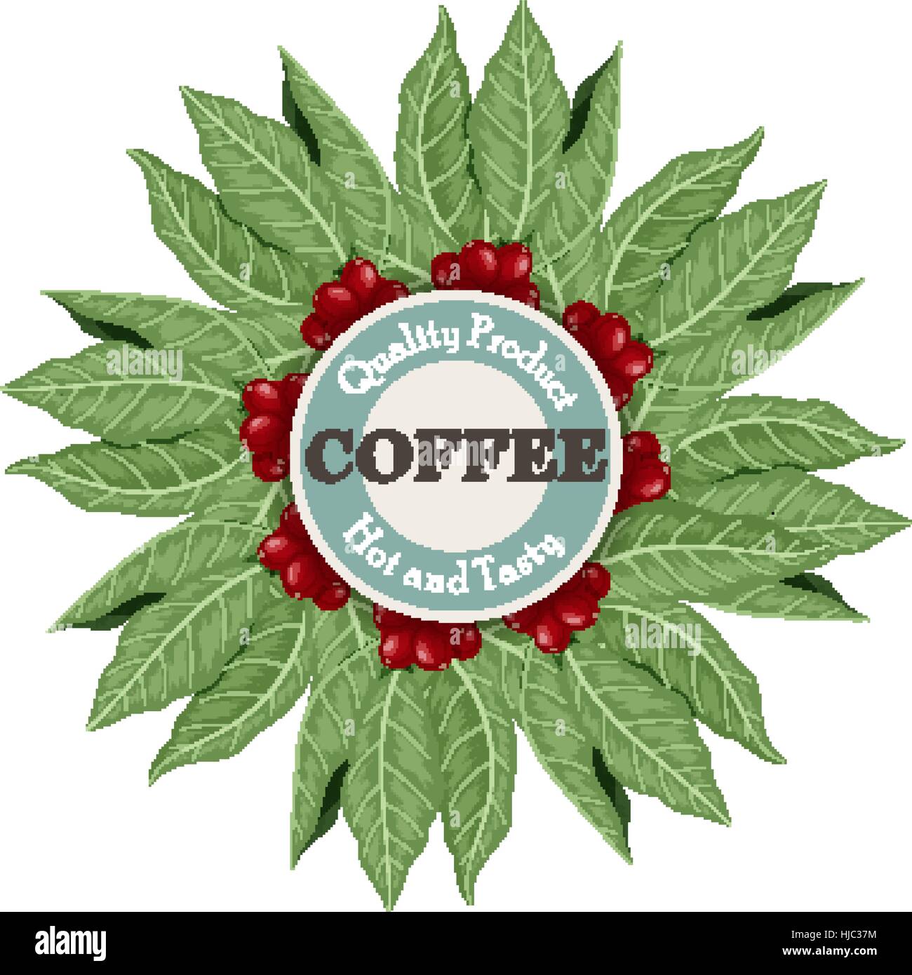 Coffee branch design template. Vector illustration Stock Vector Image ...