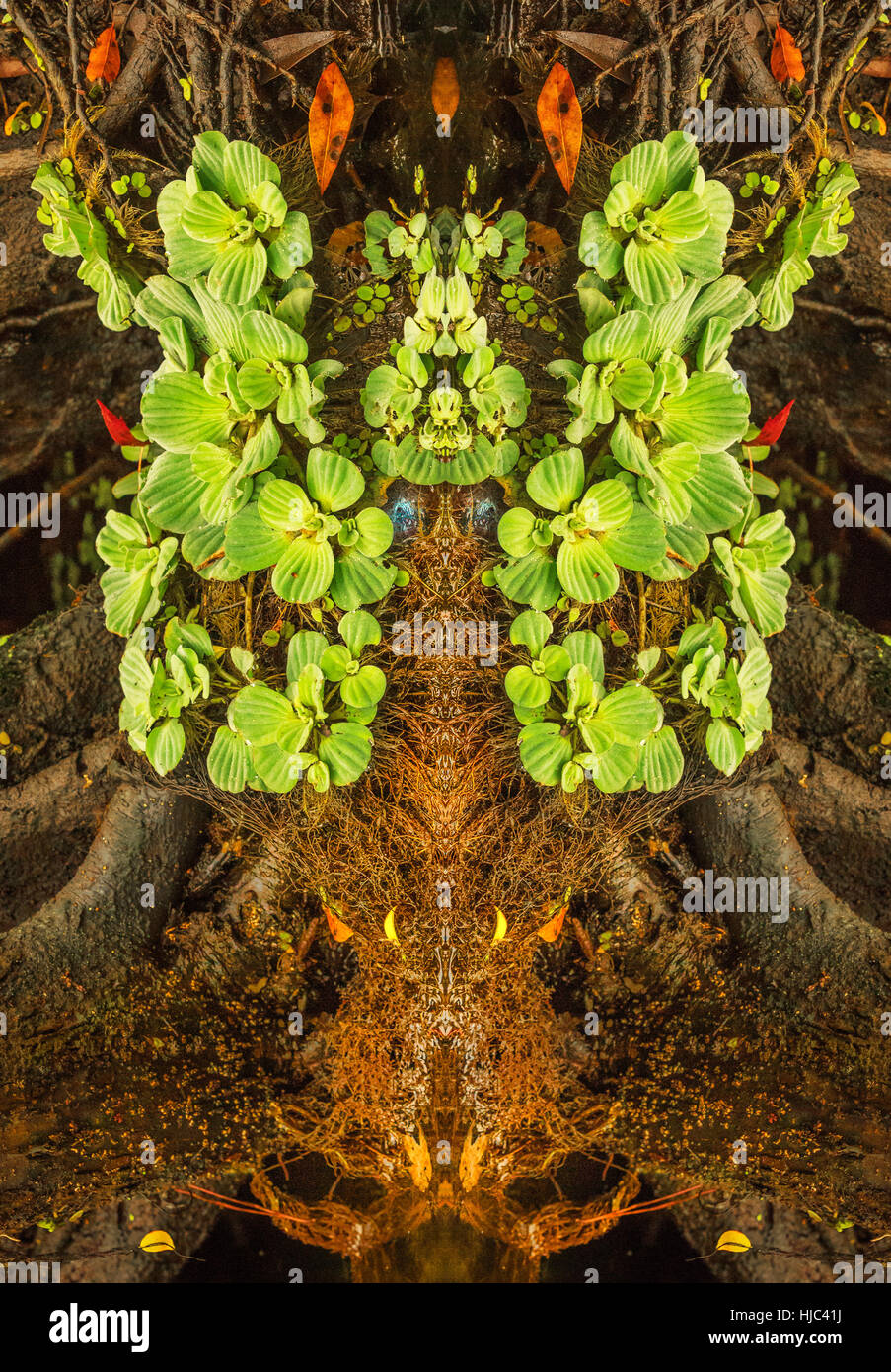 Mystical mirage hi-res stock photography and images - Alamy