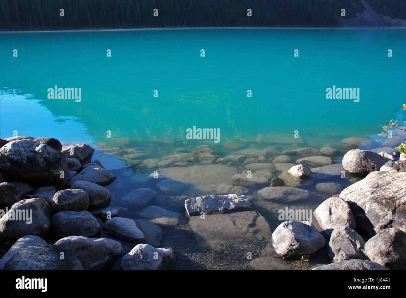 Rocks on shoreline of Lake Louise Stock Photo - Alamy