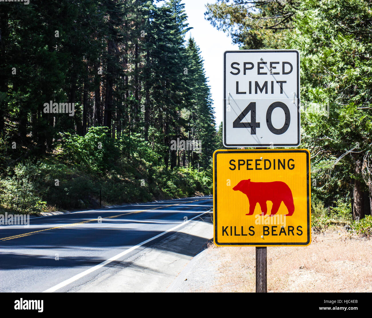 Speed Sign Warning Of Bears Along Sierra Nevada Highway Stock Photo - Alamy