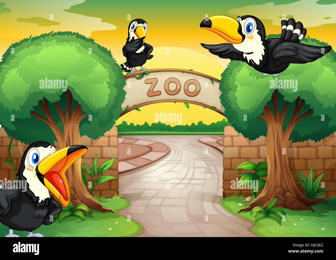 colour, tree, graphic, animal, wild, sunset, animals, birds, sunrise ...