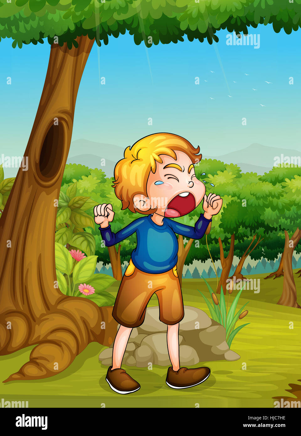 Crybaby tree hi-res stock photography and images - Alamy