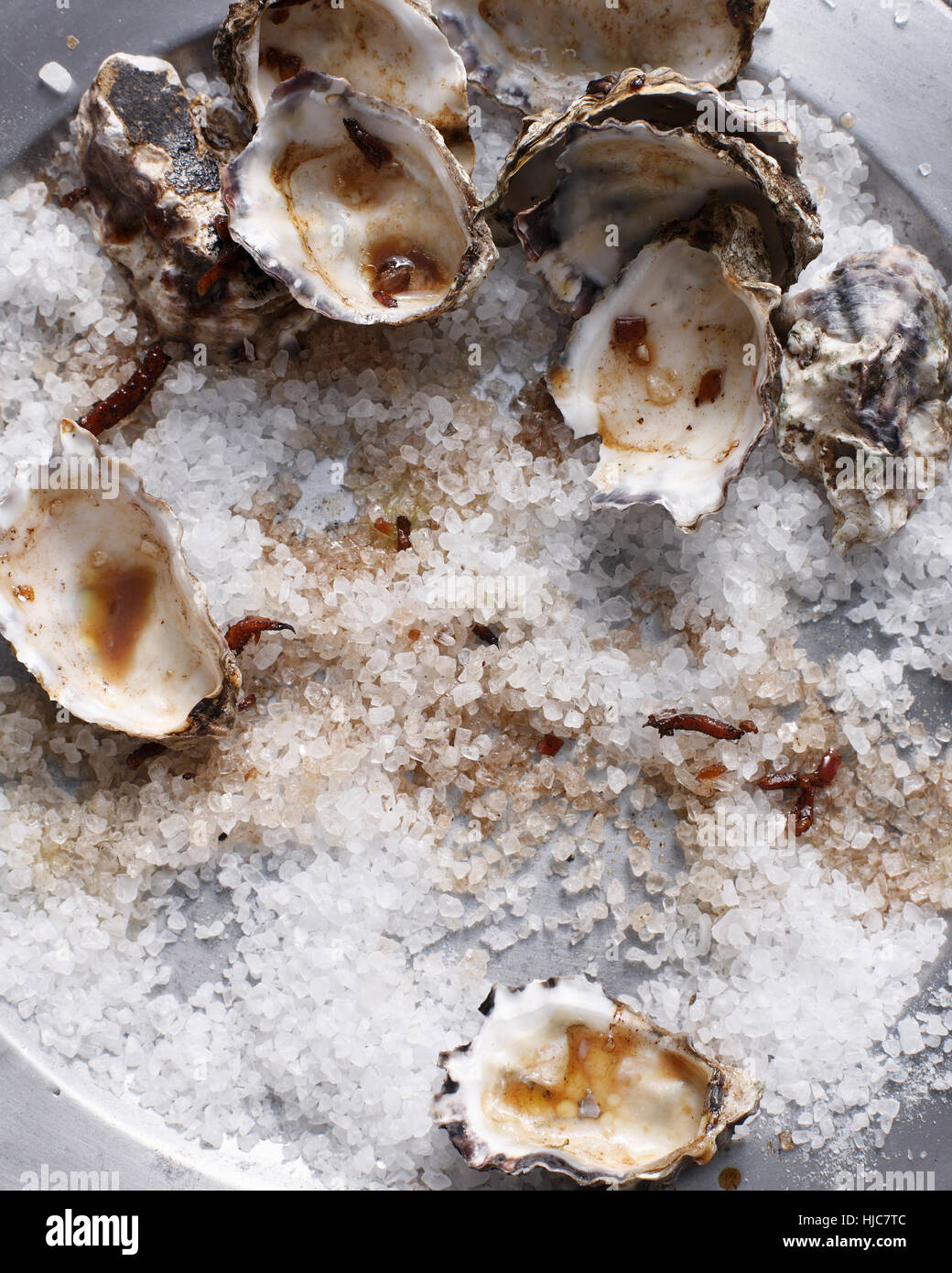 Oyster shells on sea salt Stock Photo - Alamy
