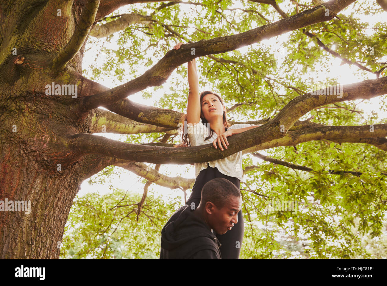 Personal trainer lifting woman to climb park tree Stock Photo - Alamy