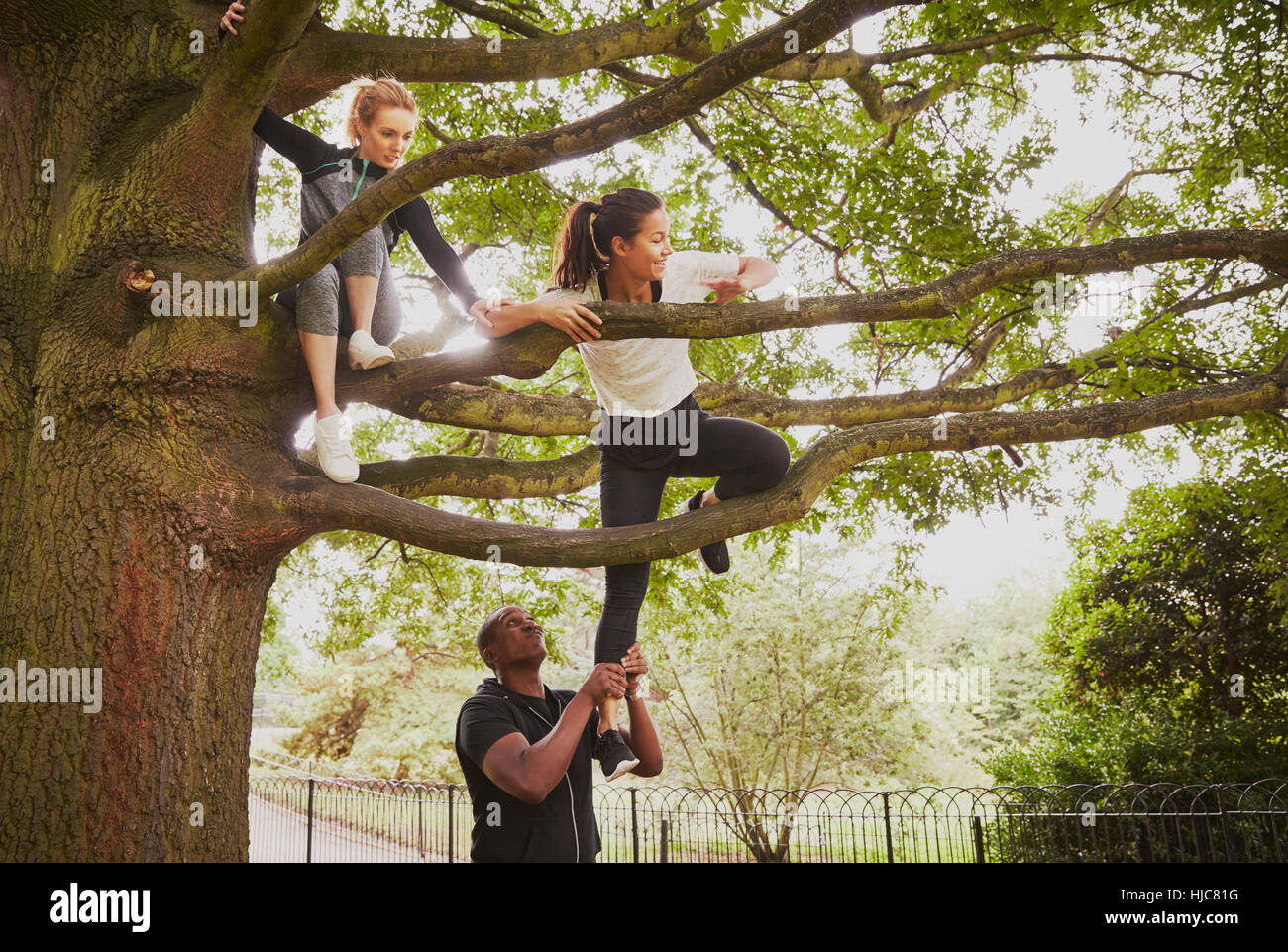 Personal trainer giving woman helping hand to climb park tree Stock ...