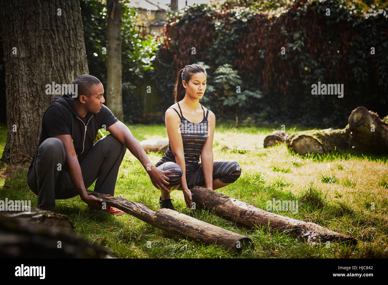 Tree lift hi-res stock photography and images - Alamy